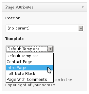 Creating an intro page | ThemeCatcher Support